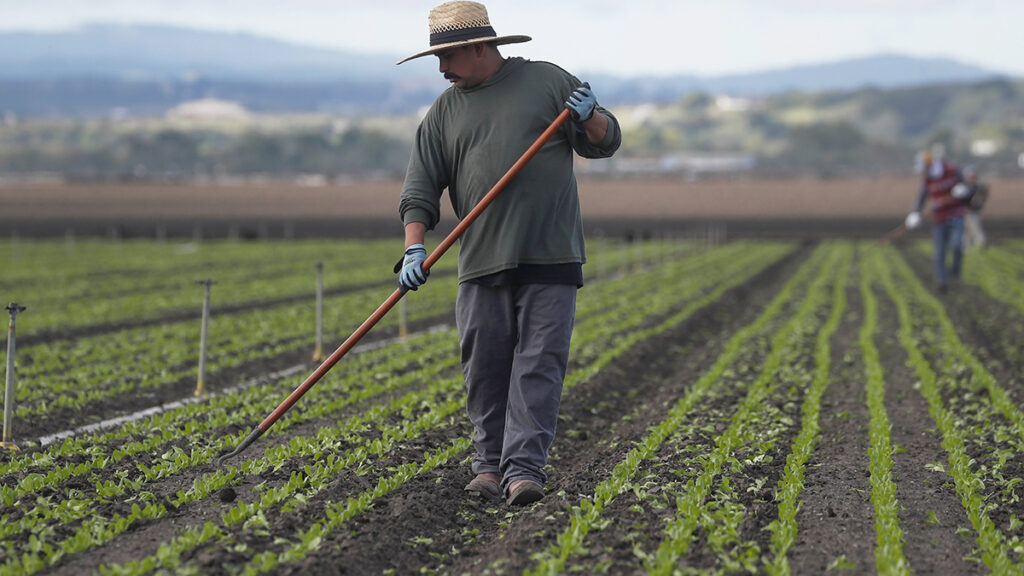 Agriculture unions, with church’s support, fight uphill battle for ...