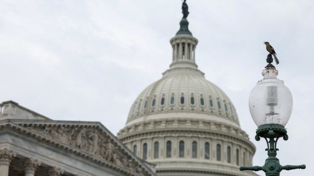 Washington Roundup: Senate border bill fails again; Trump’s FBI claims ...