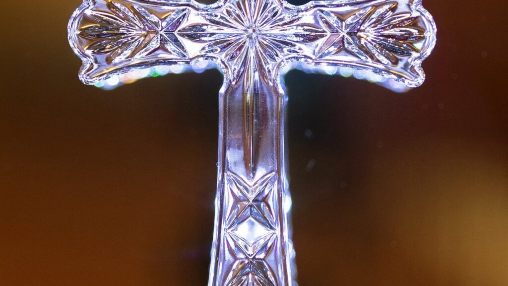 With their good works, Lumen Christi Award finalists radiate Christ’s ...