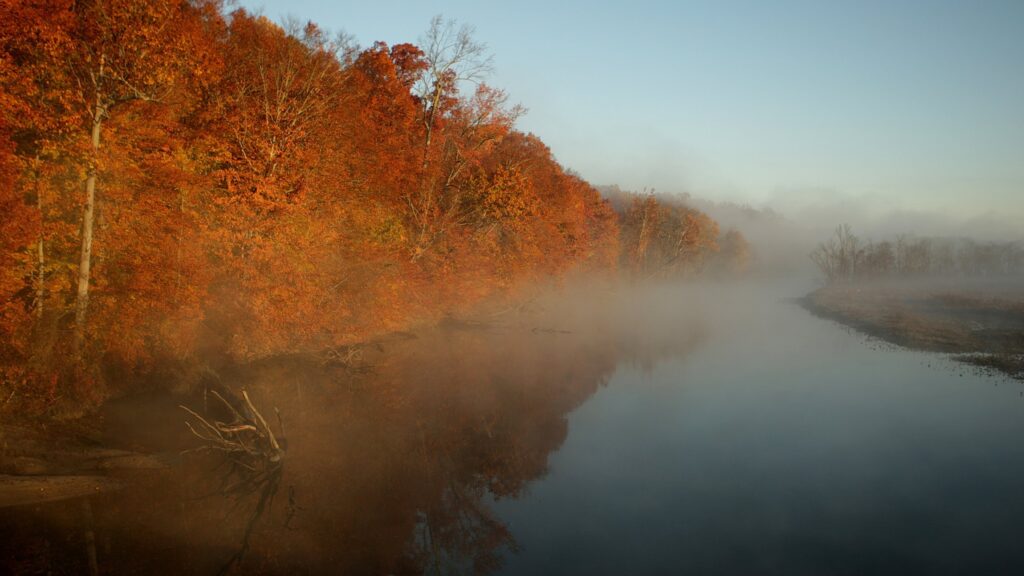 What an autumn poem teaches us about God’s love - OSV News