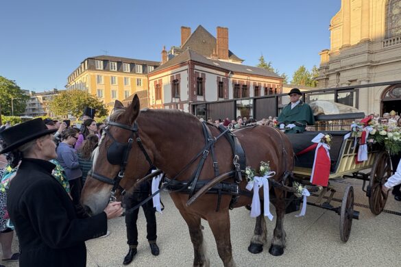 The modern popes: Get to know the 11 popes before Francis - OSV News