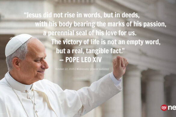 Pope Leo’s homily for the canonization Mass for Carlo Acutis and Pier Giorgio Frassati - OSV News