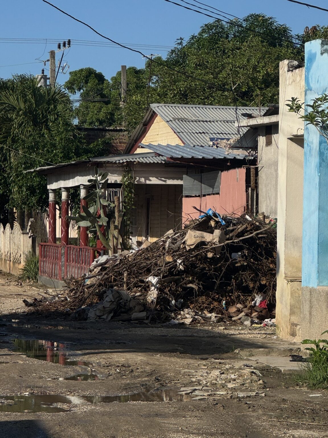 After hurricane, mosquito-transmitted diseases pile on top of Cuba’s ...