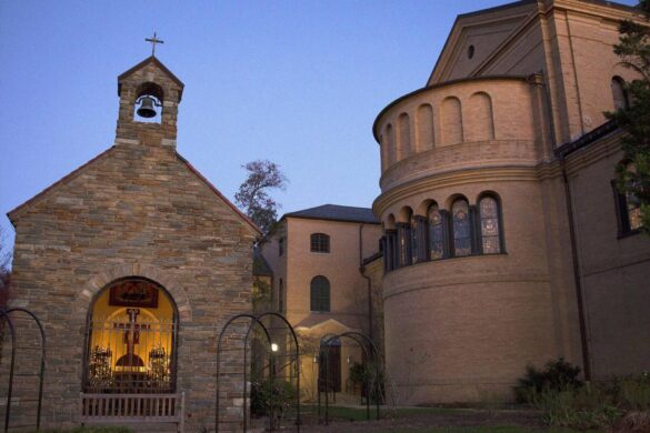 What can the Year of St. Francis do for the world? A lot, say these ...